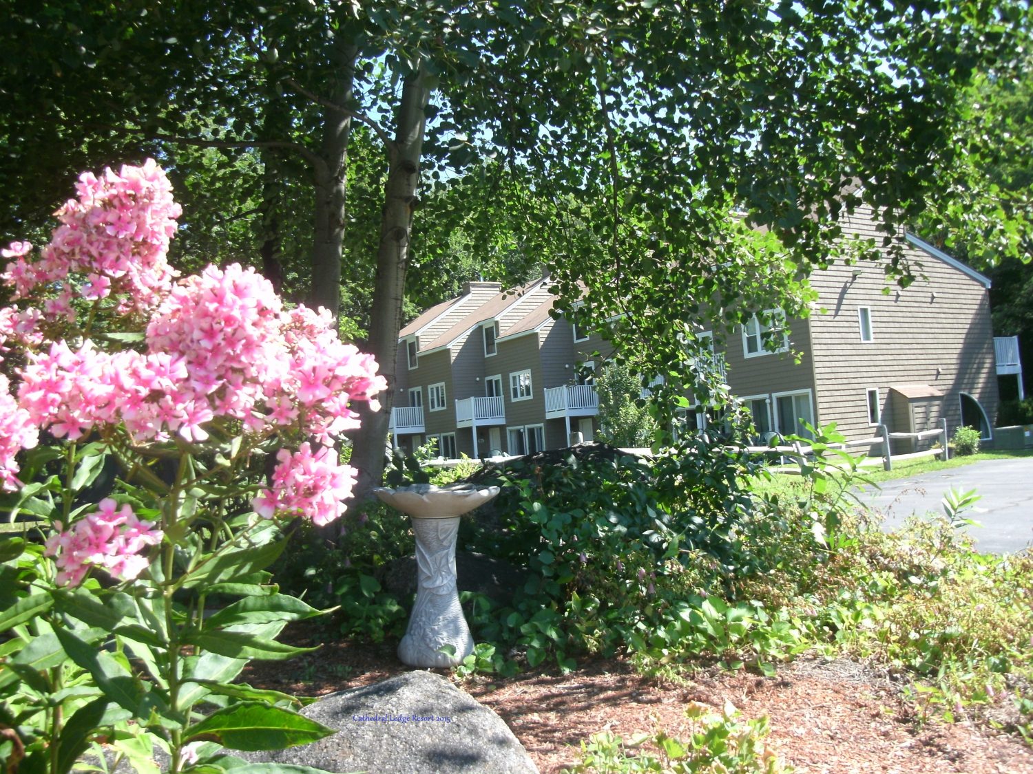 Amenities - Cathedral Ledge Resort
